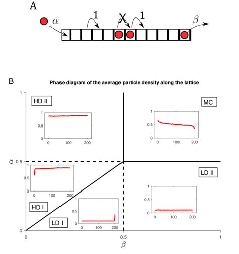 illustration of the tasep with open boundaries a a schematic