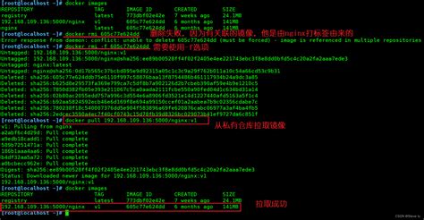 【云原生docker系列第十篇】搭建本地私有仓库（我问青山何时老，青山问我几时闲） 阿里云开发者社区