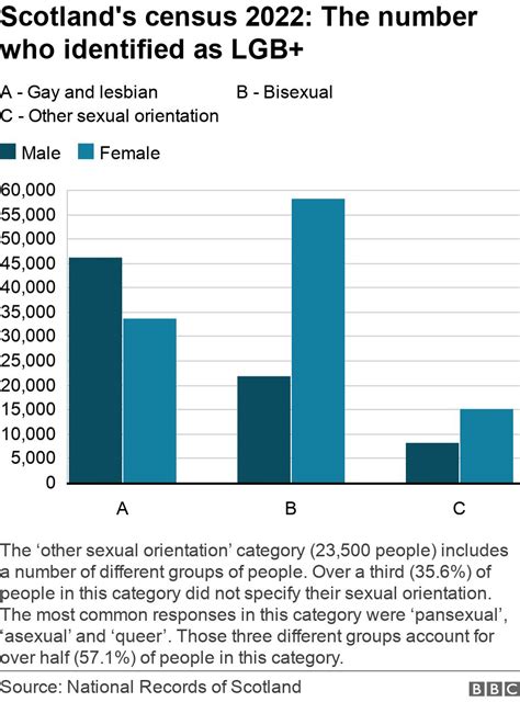Scotlands Lgbt Community Counted For The First Time Bbc News