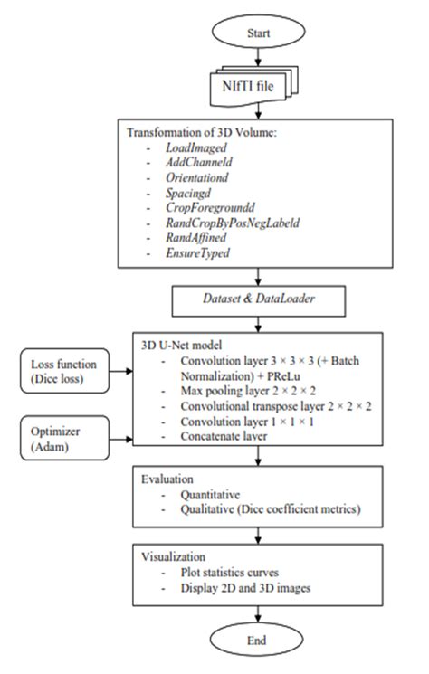 Flow Chart Of The Segmentation Model For 3d Volume Download Scientific Diagram