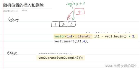 C语言系列 vector的基本使用 c语言可以用vector吗 CSDN博客