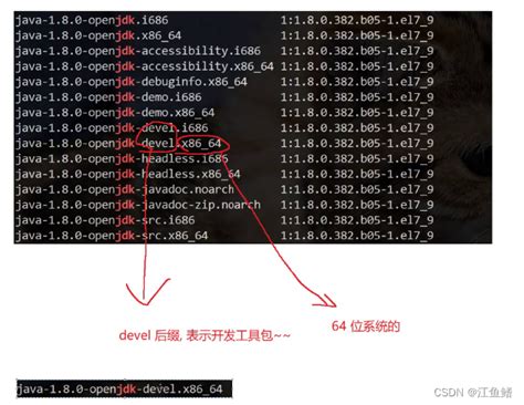 Linux命令行基础：复制、删除与环境配置 Csdn博客