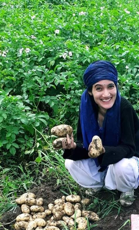 Ankita Sen On Linkedin Santana Frysona Potato