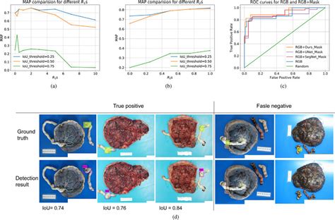 A The Comparison Of Mean Average Accuracy MAP Between Different Download Scientific Diagram