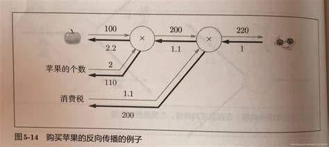 第五章误差反向传播算法——基于numpy的代码详解def Backwardself X Y M Xshape 0 Csdn博客