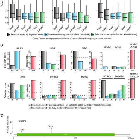Selective Signatures Of Recurrent Gene Mutations And Fusions A