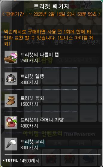 메이플 Npc스타일 어워즈 1차 판매 패키지 전품목 착용샷 정리 네이버 블로그