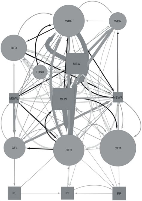 Analysis Of The Teachers Positioning