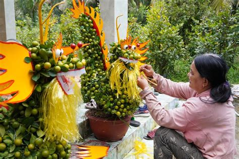 တန်ဆာဆင်ထားသော အပင်များမှ နဂါး Mascot ဖန်တီးခြင်း Vietnam Vn