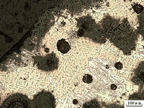 As Cast Dendritic Microstructure Of The Bu Hz001 With Considerable A Download Scientific