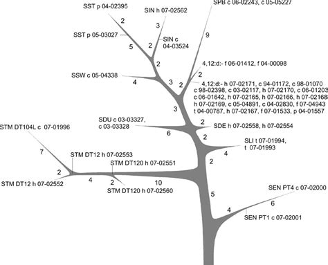 Rendered Maximum Parsimony Tree The Tree Shows The Differences Between