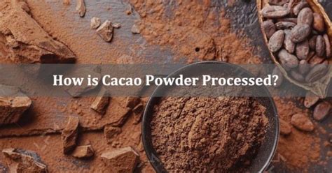 How Is Cacao Powder Processed 7 Steps Cocoa Machinery