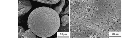 Sem Micrographs Of A Polyamidepolyurea Microcapsule And B Outer Of The
