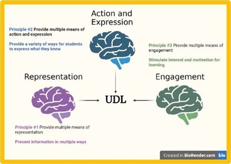 Universal Design For Learning Saitta Cer Lab