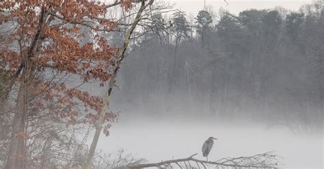 Tao Of Photography Meditative Inseparability