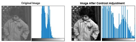 Adjust Image Contrast In Image Viewer App Matlab And Simulink