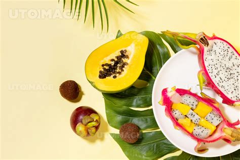 열대과일트로피칼 잎과 열대과일 모음 사진 이미지 유토이미지 상세페이지 베이직샵 사진 22144378