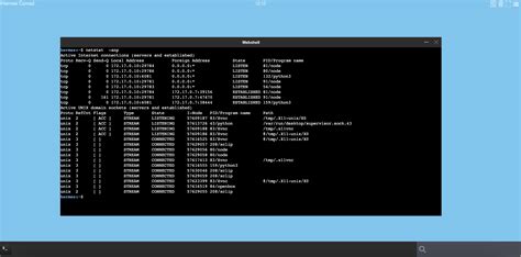 Run Application As A Ephemeral Container Or As A Pod