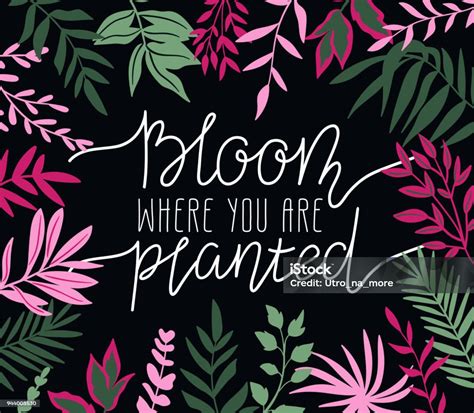 열 대 잎입니다 스 칸디 나 비아 스타일에서 벡터 프레임입니다 손으로 그린 배경입니다 레터링어디가 심어 져 꽃에 대 한 장소 마젠타색 녹색 색상에서 포스터 0명에 대한 스톡