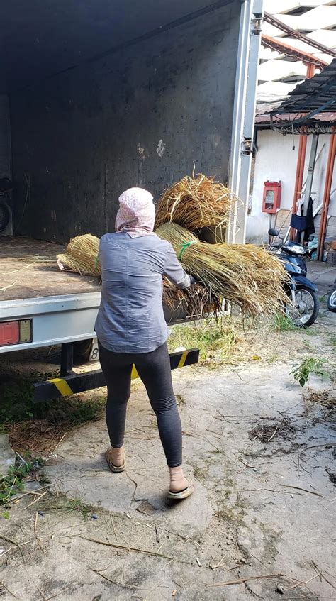 Factory Thatch Grass Tile Roof Dry Palm Synthetic Artificial Leaf