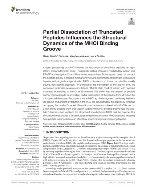 Pdf Partial Dissociation Of Truncated Peptides Influences The
