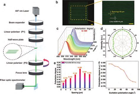 Linear Polarization Dependent Pl From Perovskite Qd Line Arrays A