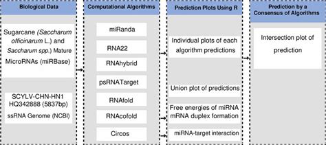 A Computational Framework Of Host Delivered Mirna Prediction From The Download Scientific