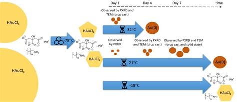 Schematic Representation Of The Synthetic Sequence Precursors Haucl 4