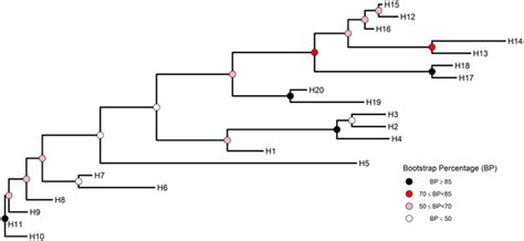 Multiple Alignment Calculation Plos One