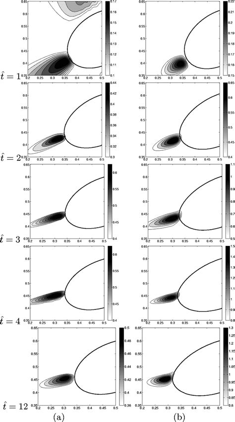 Newtonian Drop In Viscoelastic Matrix Contours Of The Trace Of The