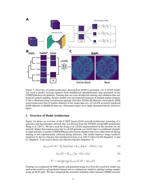 a ssim guided cgan architecture for clinically driven generative image