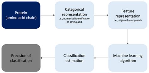 Categorical Variable Mapping Considerations In Classification Problems