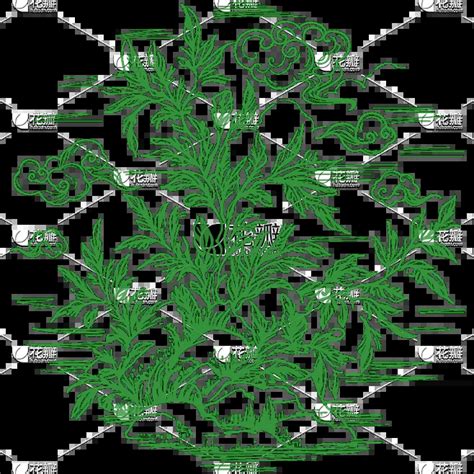 植物系列古风茶叶包装山水线描元素素材 花瓣网