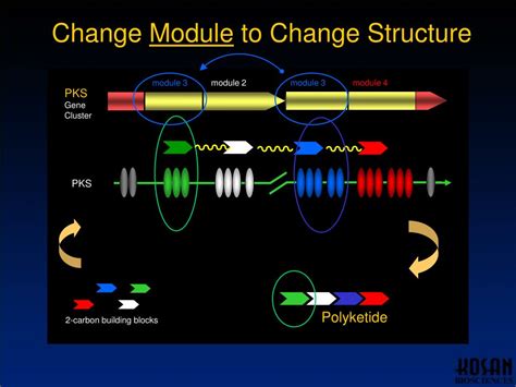 Ppt High Throughput Gene Synthesis And Cloning Of Polyketide Synthase