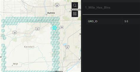 Difference Between Pop Ups In Map Viewer And Exper Esri Community
