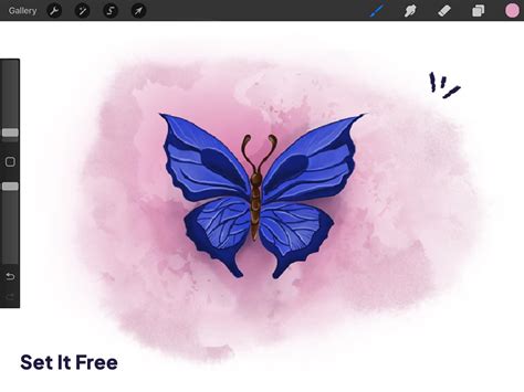How To Draw Butterfly In Procreate Brush Galaxy How To Draw Butterfly In Procreate Brush Galaxy