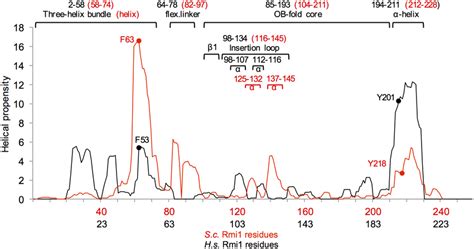Proposed Structure Prediction Based Alignment Of Yeast And Human