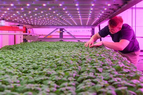 Innovation Centres James Hutton Institute