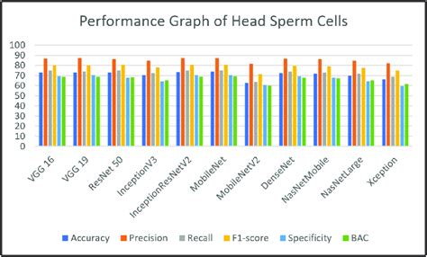 Performance Graph Of State Of The Art Deep Learning Models Of Vacuole