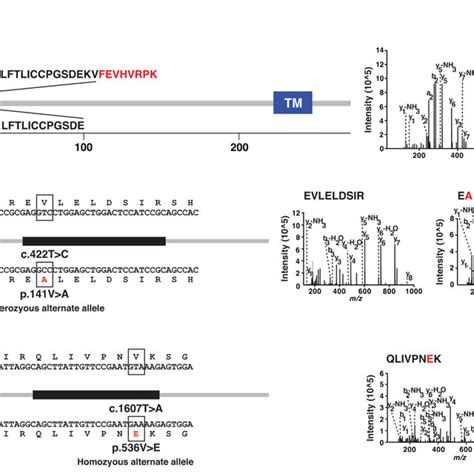 Integrated Analysis Of Proteomics Data A Scatter Plot Showing The Download Scientific