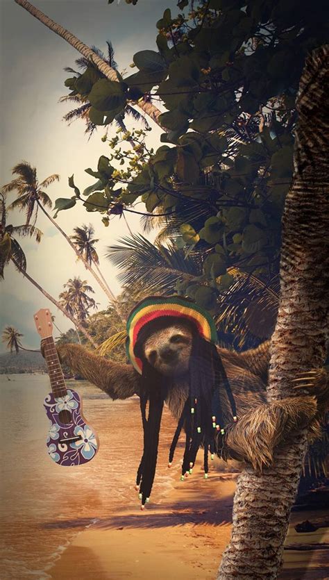 Rasta Girl Wallpapers 4k Hd Backgrounds On Wallpaperbat