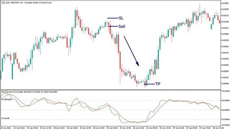 Traders Dynamic Index Indicator Mt5 Forex Admin