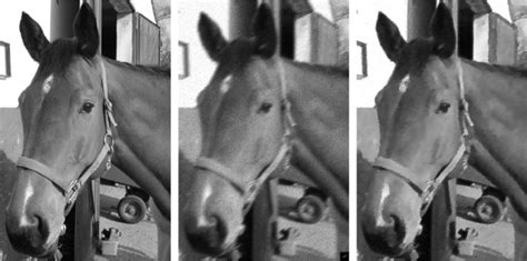 Deblurring And Poisson Noise Removal By Solving 24 From Left To Download Scientific Diagram