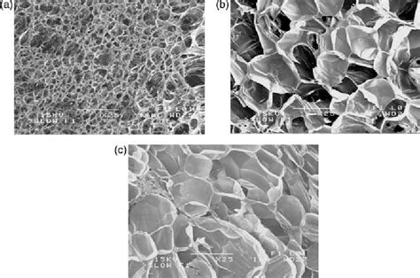 Figure 12 From Foaming Of Polystyrene Thermoplastic Starch Blends Semantic Scholar