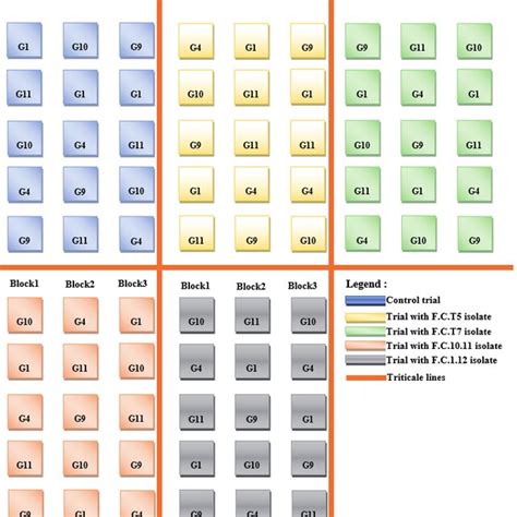 Diagram Of The Open Field Experimental Set Up For Each Of The Five Trials Download Scientific