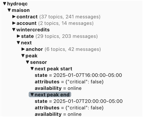 Problem With Time In Mqtt Server Configuration Home Assistant Community