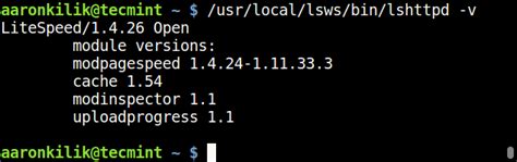Install OpenLiteSpeed PHP 7 MariaDB On Debian And Ubuntu