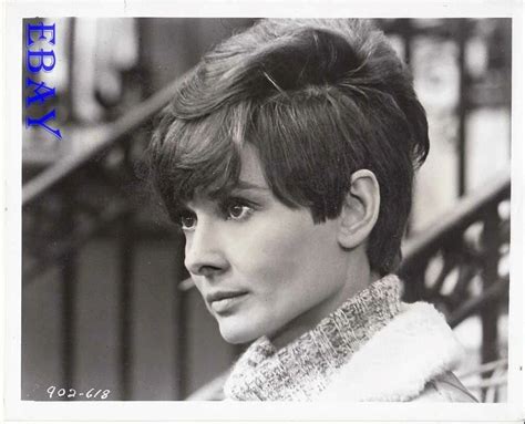 Audrey Hepburn Hair Pixie