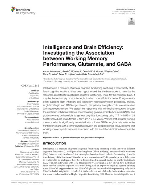 Pdf Intelligence And Brain Efficiency Investigating The Association