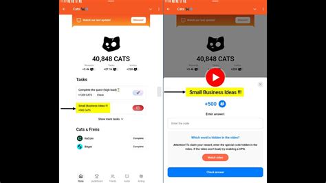 Small Business Ideas Cats Video Code Today Small Business Cats Code